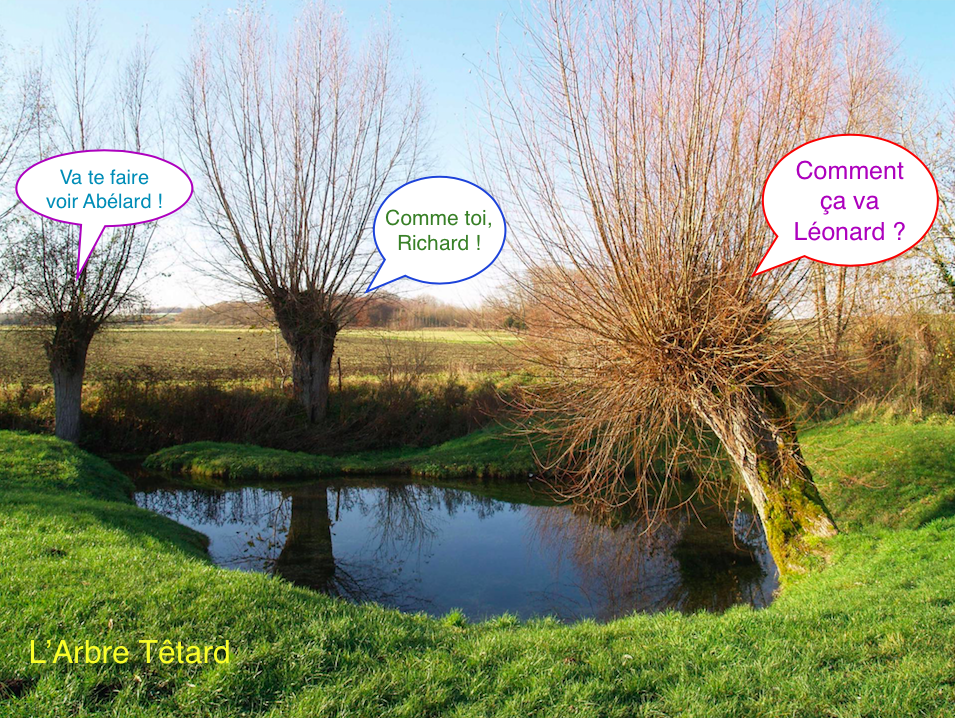 Arbres Têtards. – Jean-Louis Augé